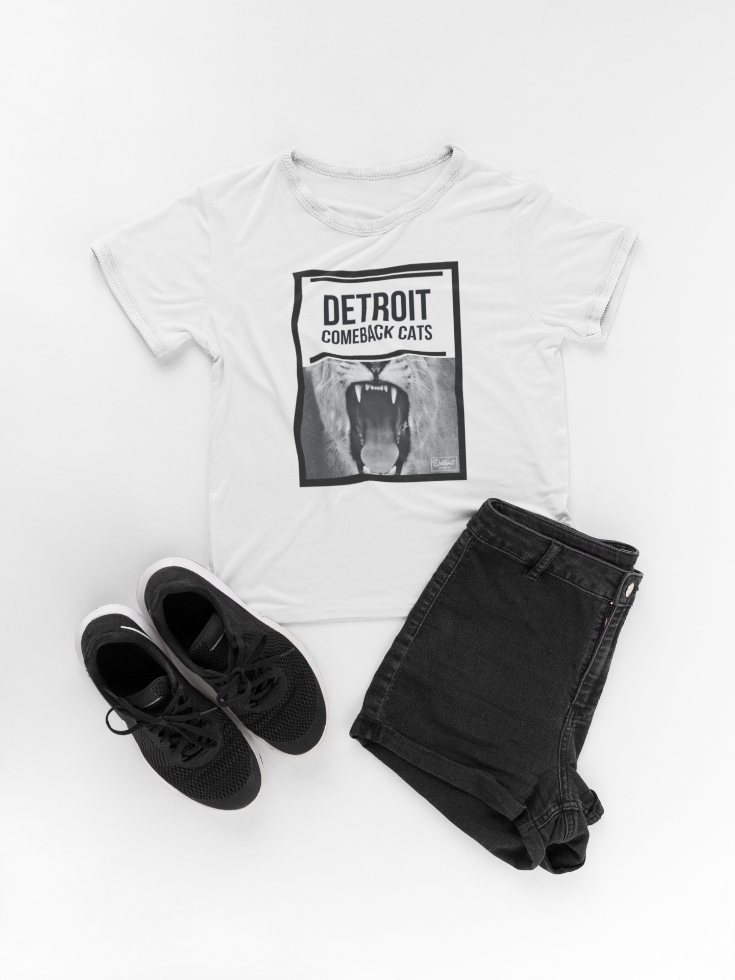 Shop All Collections – Detroit Apparel 313